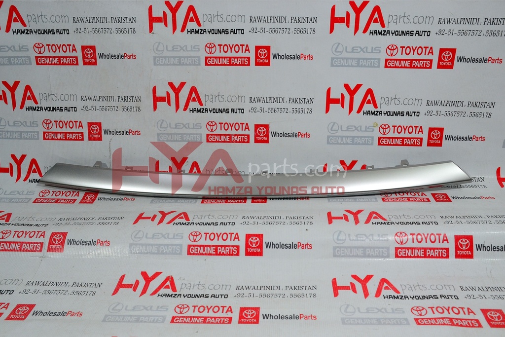 MOULDING, RADIATOR GRILLE, NO.2 | H Y A parts